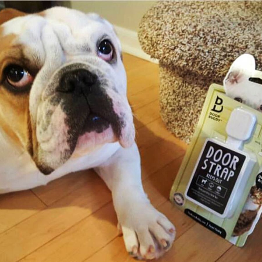 Door Buddy Achieves Amazon's #1 New Release Status For Door Latch Lock